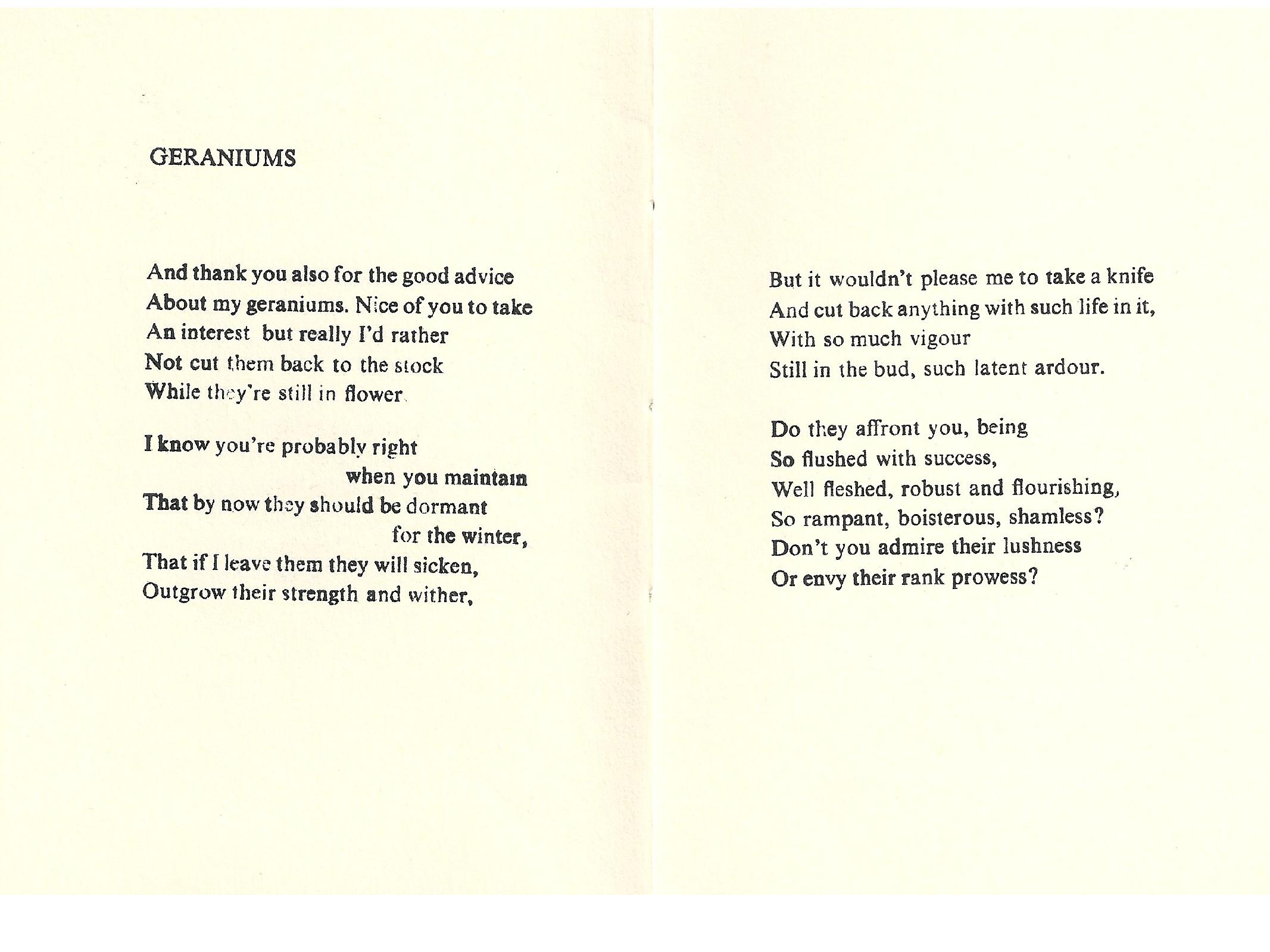 Geraniums – Jan Mark Is Here