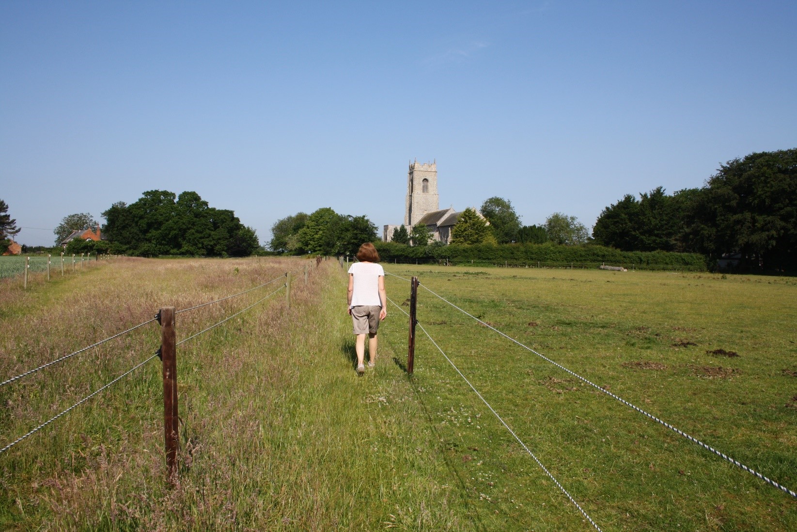 Norfolk Connections – Jan Mark Is Here