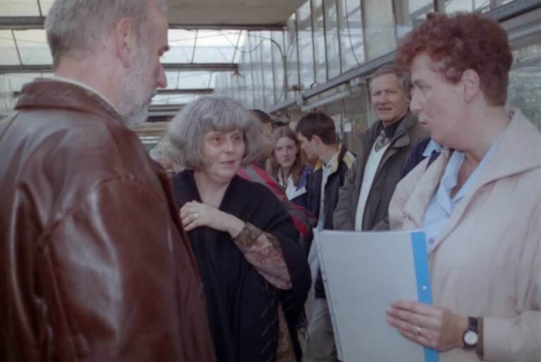 Johan Strobbe remembers Jan – Jan Mark Is Here